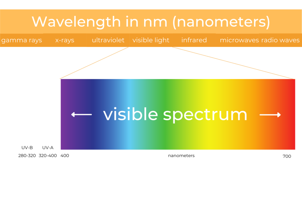 Say Watt – Firefly Growlight